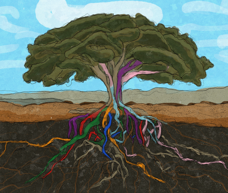 From taboo to truth: The influence of African queer positive films in ...